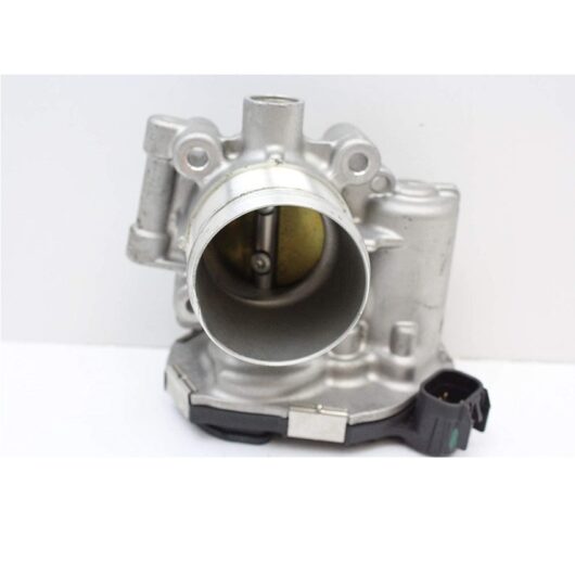 General Motors 55565489 / 217-3431 Fuel Injection Throttle Body | Sedectro